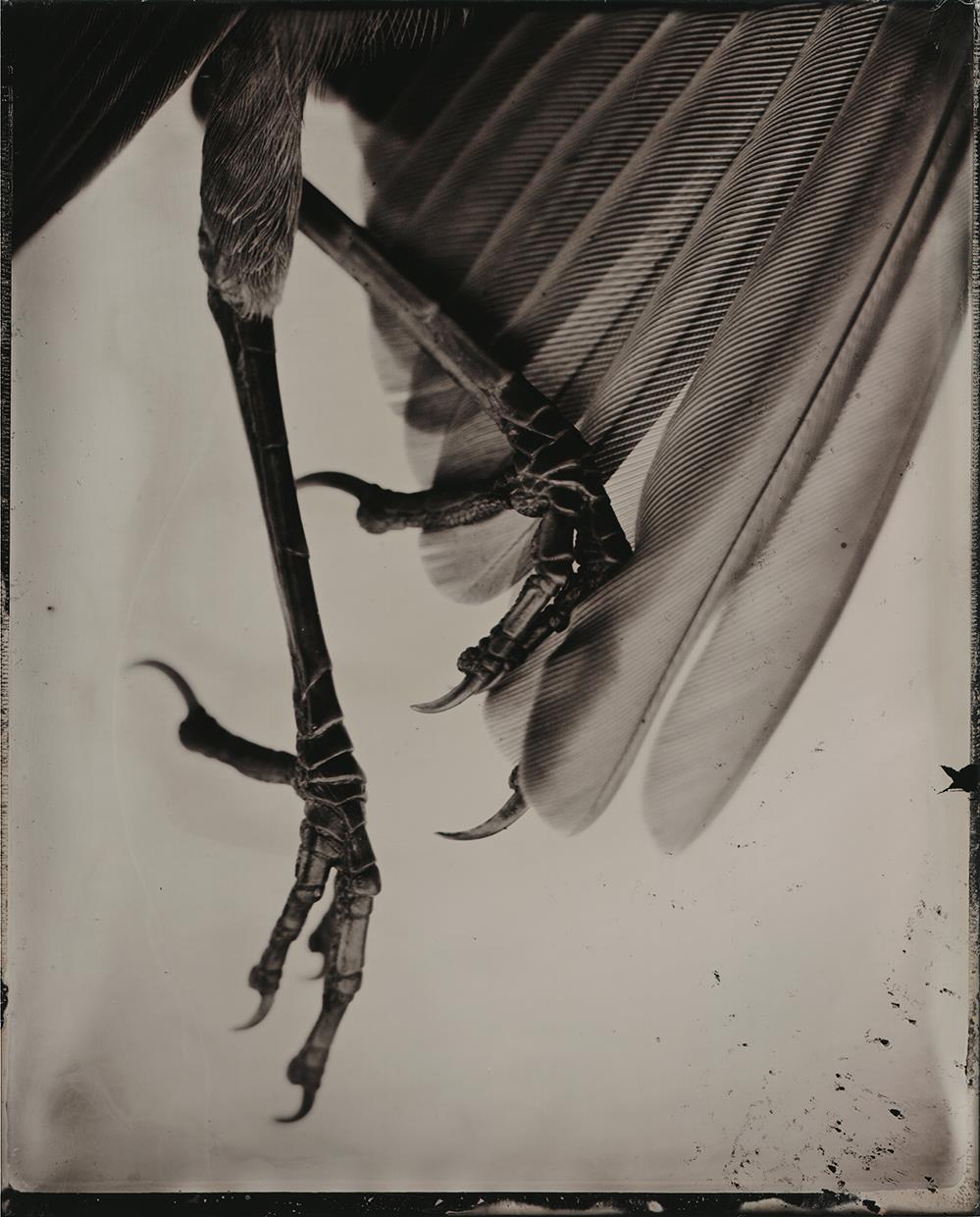 2016 Individual Artist Fellowship Recipient - Joshua Meier - Delaware ...