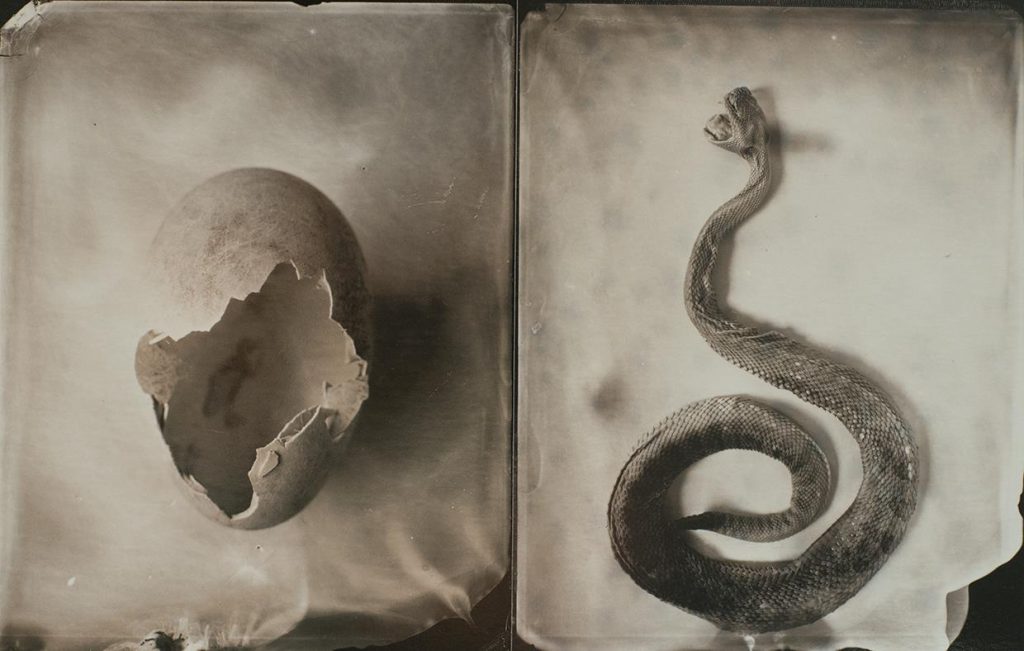 2016 Individual Artist Fellowship Recipient - Joshua Meier - Delaware ...