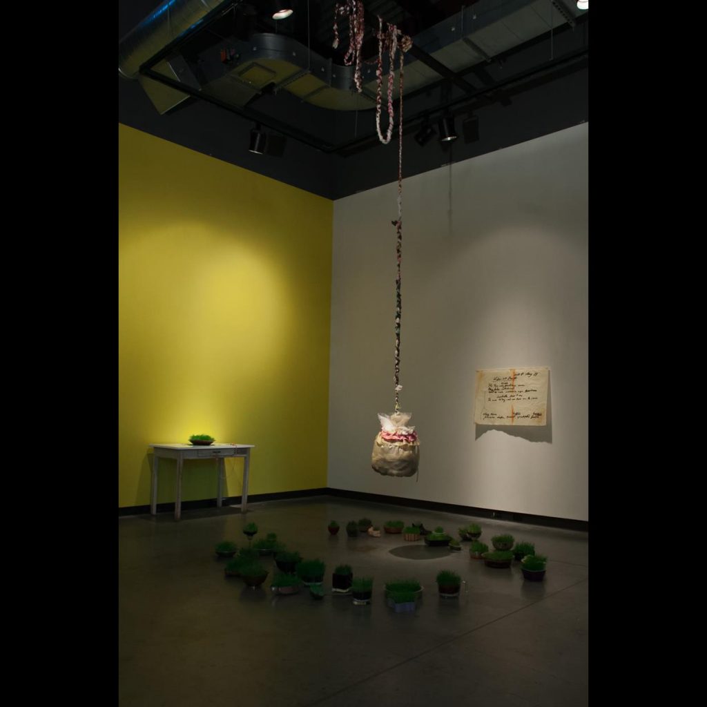 2107 Individual Artist Fellowship Recipient - Jennifer Borders ...